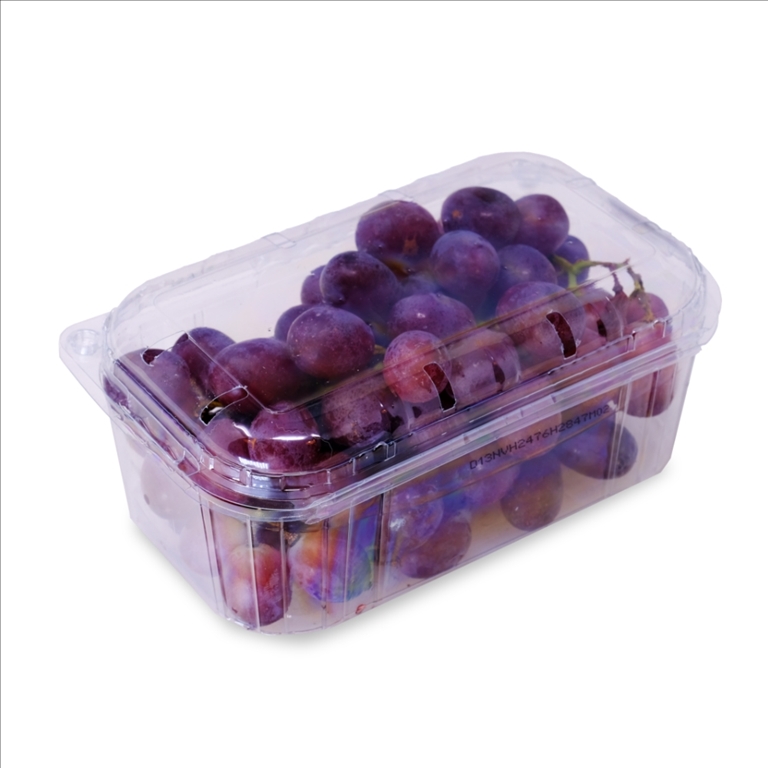 The New Orchard | Basket | Fruit